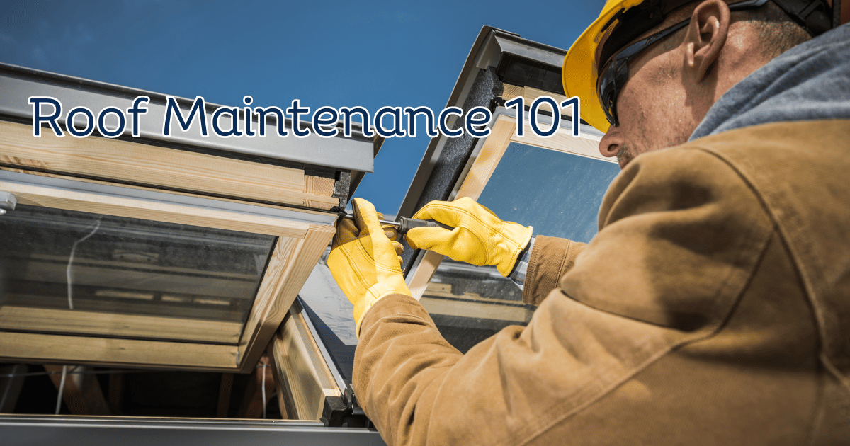 Roof Maintenance 101 | Harley & Sons Roofing Contractor