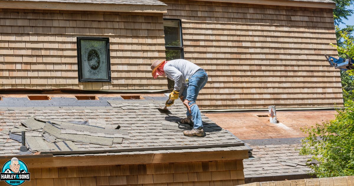 7 Steps Of Re-Roofing A House In Melbourne